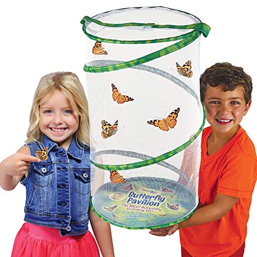 Insect Lore Butterfly Pavilion Habitat | 2 Foot Tall Clear Mesh | Pops Up Folds Flat | Zipper Top | for All Insects