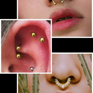 Msndnkwo 16G Septum Ring for Women Men 316L Surgical Stainless Steel Septum Jewelry Nipple Rings Nose Ring Seamless Hinged Segment Clicker CZ Daith Rook Helix Tragus Cartilage Piercing Jewelry