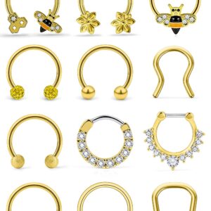 Msndnkwo 16G Septum Ring for Women Men 316L Surgical Stainless Steel Septum Jewelry Nipple Rings Nose Ring Seamless Hinged Segment Clicker CZ Daith Rook Helix Tragus Cartilage Piercing Jewelry