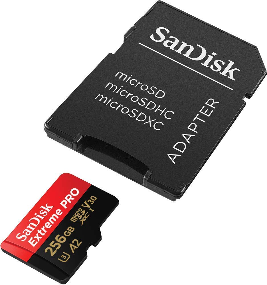 SanDisk 256GB Extreme Pro Micro SD Memory Card for GoPro Hero 10 Black Camera Hero10 UHS-1 U3 / V30 A2 4K Class 10 (SDSQXCZ-256G-GN6MA) Bundle with 1 Everything But Stromboli SDXC & Micro Card Reader