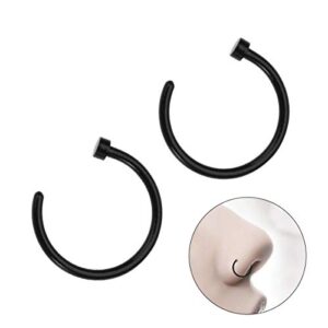 Generic 2 Pcs Unisex Surgical Steel Hinged Clicker Segment Nose Rings Hoop Helix Cartilage Earrings Titanium Steel Body Piercing Stud, Black, 5CGZT0AY1046Q85E3117UTY8, 0.8x0.8x0.1cm