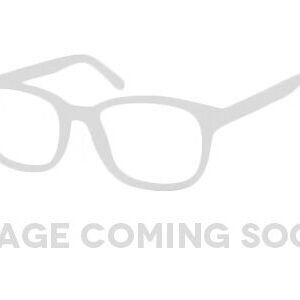 Silhouette SPX Legends Eyeglasses Frame Full Rim 2940 3010 Dark Red 49-17-135