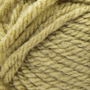 Patons Highland Bulky Solids Yarn, Moss