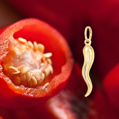 Lucchetta 14K Italian Gold Horn Pendant Hollow for Him and Her | Suitable for Gifting Handmade in Italy | Hypoallergenic Made to Last | Fits Perfectly up to 4mm Necklace