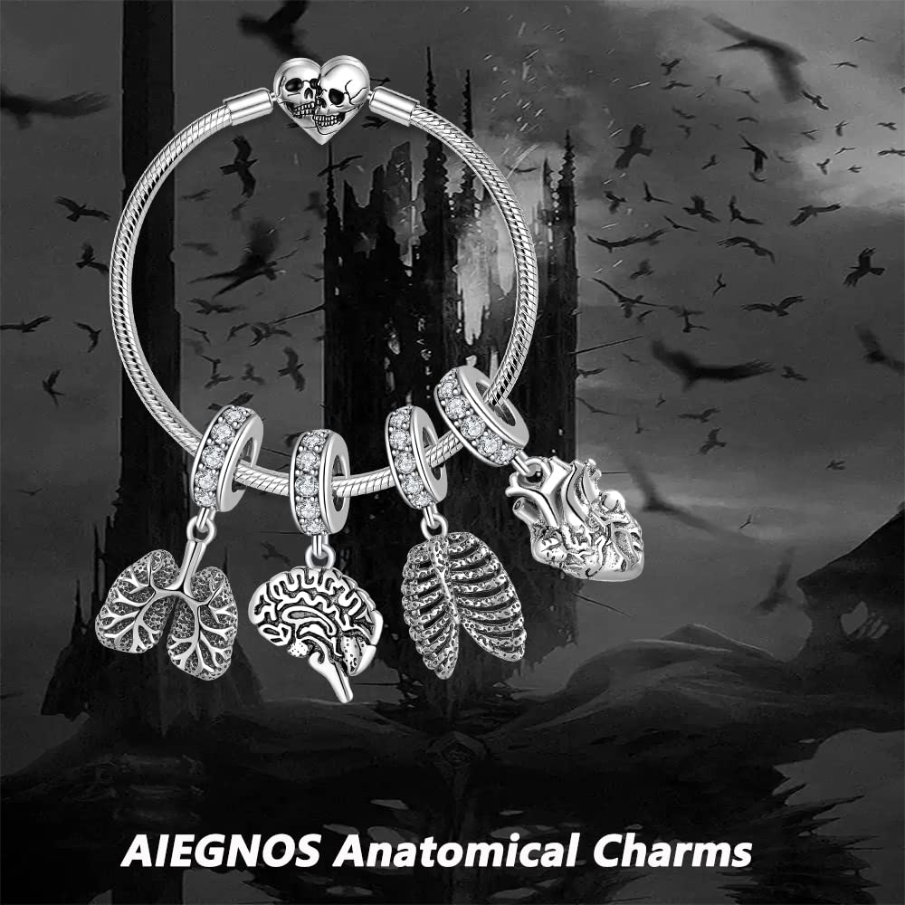 AIEGNOS Anatomical Brain Charms for Bracelet 925 Sterling Silver Gothic Anatomical Charm for Women Mother Daughter Doctor Nurse Halloween Anniversary Graduation Gifts