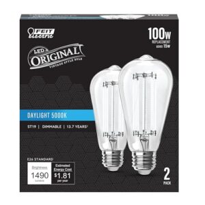 feit electric st19 vintage edison led light bulb, 100w equivalent, dimmable, 5000k daylight, 1490 lumens, e26 base, retro filament light bulbs, 15,000-hour lifetime, st19100cl/950ca/2, 2 pack