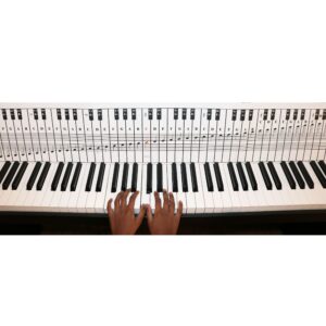 qmg piano and keyboard note chart for 88 keys, use behind the keys, ideal visual tool for beginners learning piano or keyboard, easy to set up