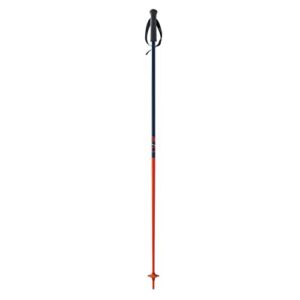 fischer gt 18 poles 135 cm