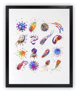 dignovel studios 8x10 unframed bacteria watercolor art print biology medical art microbiology virus art abstract bacteriophage science home office wall decor poster dn675