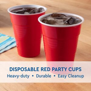 Supellectilem Red Plastic Disposable Cups - 18 Oz., 240 Ct. | Heavy Duty Large Party Cold Drink Plastic Cups Disposable