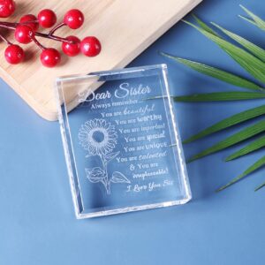 YWHL Sister Birthday Gifts from Sister, Compliment Sister Gifts for Women, Sister Love Crystal Keepsake for Christmas