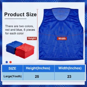 Geyoga 12 Pcs Soccer Pinnies Youth Basketball Practice Jersey Soccer Training Equipment for Sports(Red, Blue)