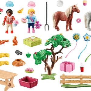 Playmobil Pony Farm Birthday Party