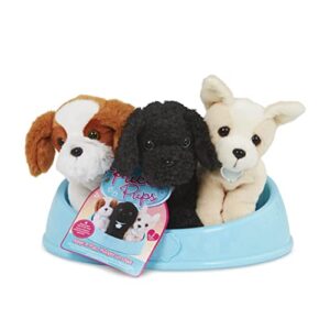 Pucci Pups – Adopt-a-Pup – Shih Tzu, Chihuahua, Poodle – Plush Toy Dogs with Dog Bed – Plush Dog for Kids Aged 2 and Up