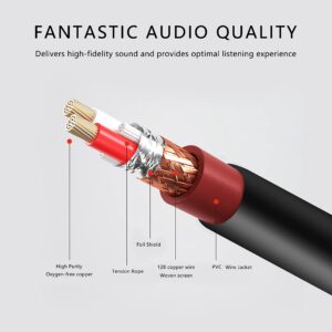 MEIRIYFA Mini XLR Male to XLR Male Microphone Cable,Mini XLR 3pin Male to 3pin XLR Card Nong Male Audio Cable for BMPCC 4K Camera Video Assist 4K Sharp 8K(1FT/0.3M)(XLR Male)