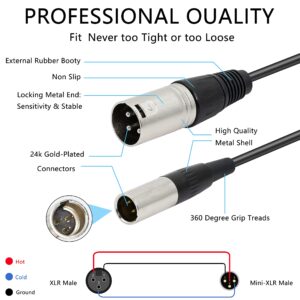 MEIRIYFA Mini XLR Male to XLR Male Microphone Cable,Mini XLR 3pin Male to 3pin XLR Card Nong Male Audio Cable for BMPCC 4K Camera Video Assist 4K Sharp 8K(1FT/0.3M)(XLR Male)