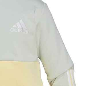 adidas Men's Essentials Colorblock Full Zip Hoodie, Linen Green/Almost Yellow, Large