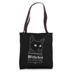 we are the granddaughters of the witches mystic cat tote bag