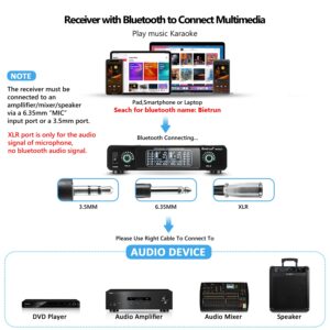 Bietrun Wireless Microphone, Rechargeable Metal Dual UHF Cordless Dynamic Handheld Microphone System for Home Karaoke, Meeting, Party, Church, DJ, Wedding(UHF 240ft Range)(Receiver with Bluetooth)