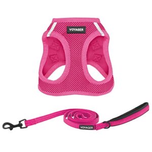 voyager step-in air all weather mesh harness and reflective dog 5 ft leash combo with neoprene handle, for small, medium and large breed puppies by best pet supplies - set (fuchsia), s