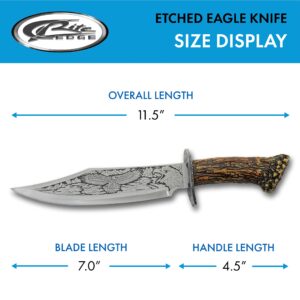 Szco Supplies 11.5” Decorative Eagle Etched Blade Outdoor Hunting Knife with Display Relief Art/Printed Antler Stand