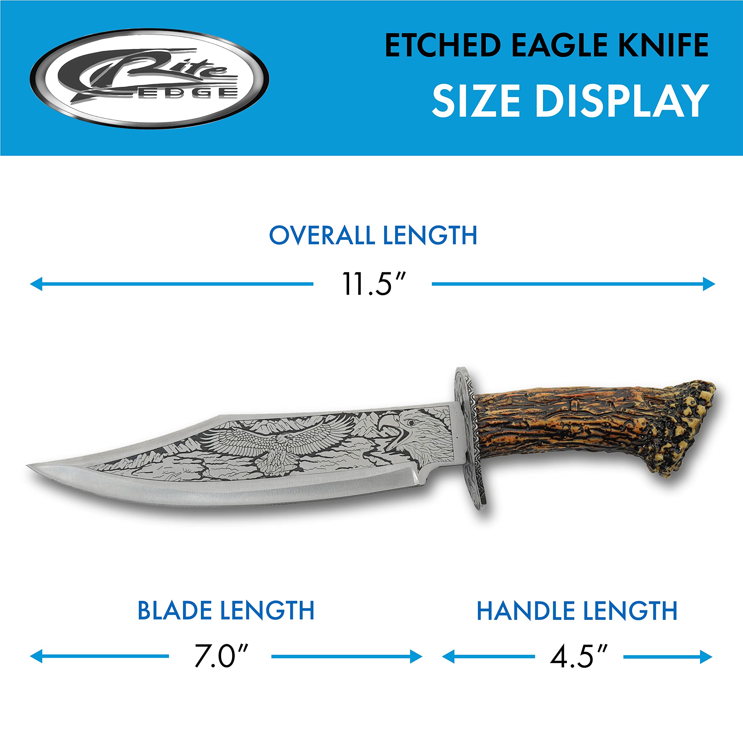 Szco Supplies 11.5” Decorative Eagle Etched Blade Outdoor Hunting Knife with Display Relief Art/Printed Antler Stand