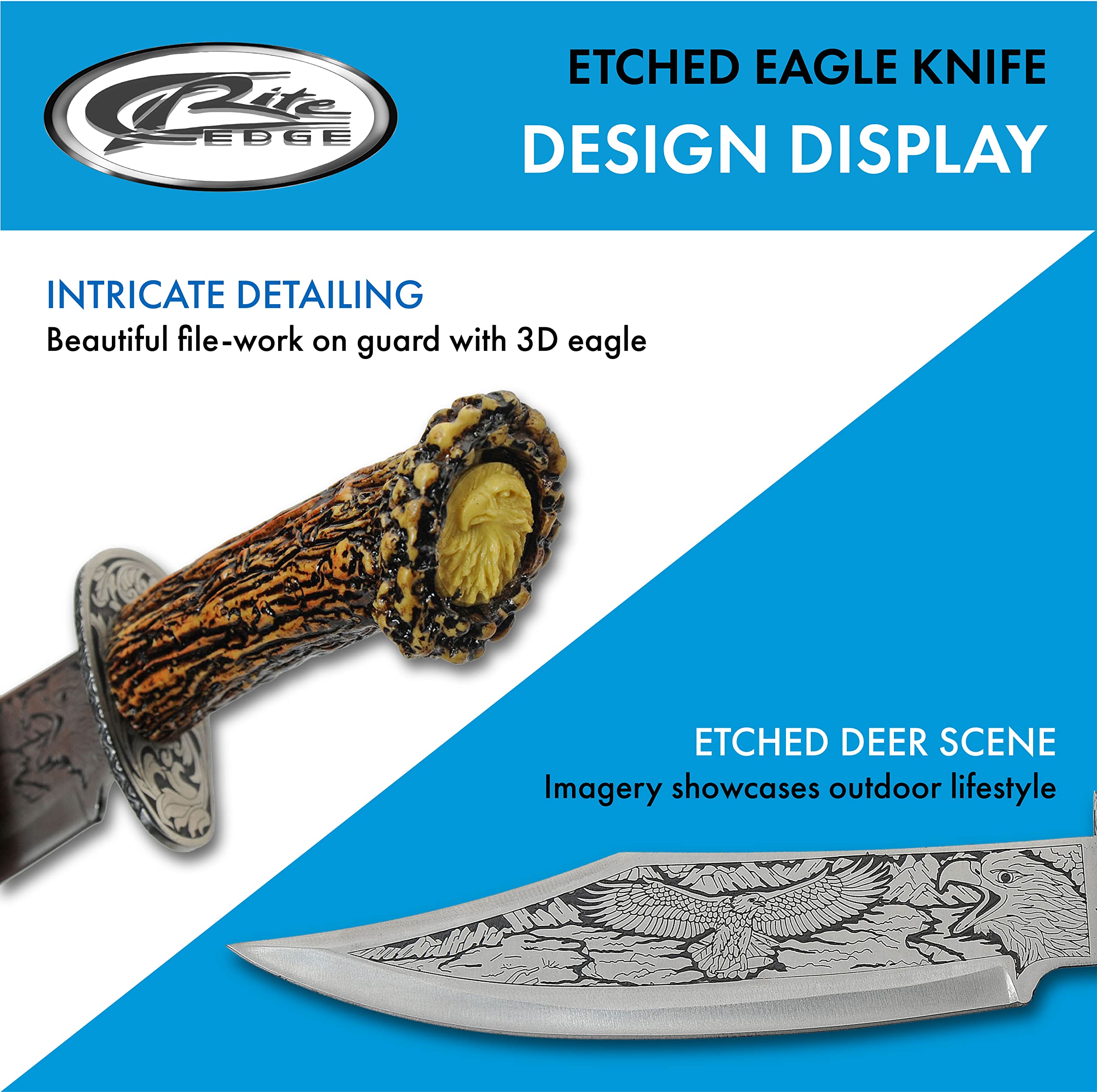 Szco Supplies 11.5” Decorative Eagle Etched Blade Outdoor Hunting Knife with Display Relief Art/Printed Antler Stand