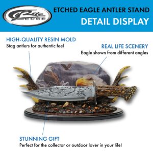 Szco Supplies 11.5” Decorative Eagle Etched Blade Outdoor Hunting Knife with Display Relief Art/Printed Antler Stand