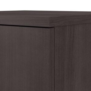 Bush Business Furniture Universal Narrow Clothing Storage Cabinet with Door and Shelves, Storm Gray