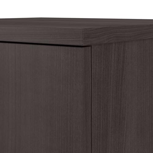 Bush Business Furniture Universal Narrow Clothing Storage Cabinet with Door and Shelves, Storm Gray