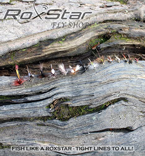 RoxStar Fly Shop Trophy Trout 24pk | Top Wet & Dry Flies for Trout. | Trout Flies Proven Nationwide to Catch Fish! | Tied in-House Never Outsourced! Fathers Day Gift Fly Fishing Gift