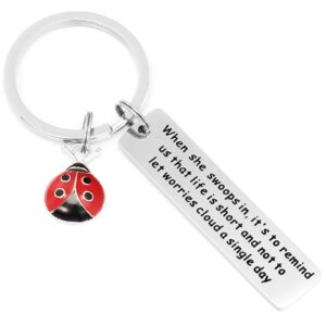 ahaeth ladybug keychain gifts for women when she swoops in it remind us not be let worries cloud a single day keychain good luck inspirational jewelry gift