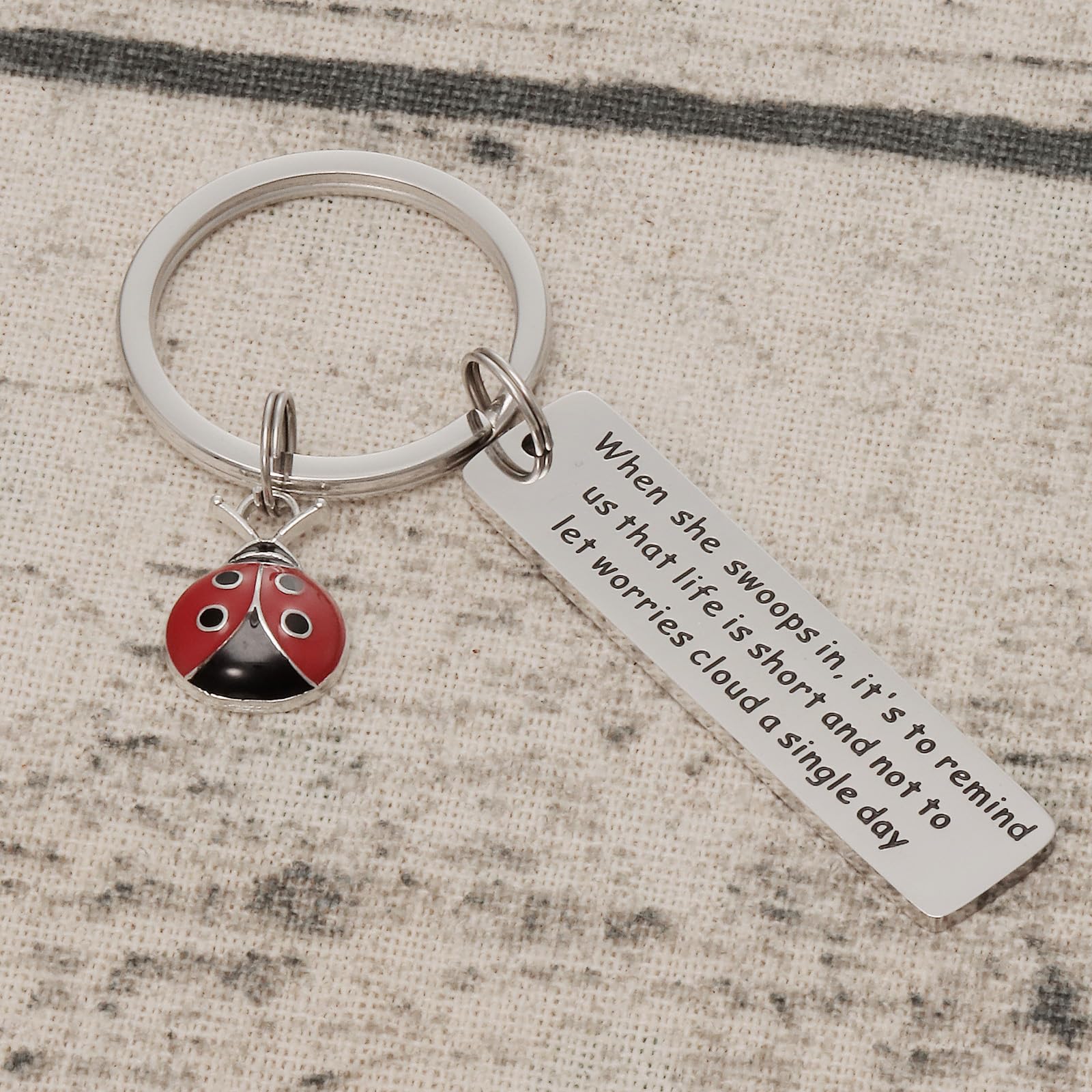 AHAETH Ladybug Keychain Gifts for Women When She Swoops in It Remind Us Not Be Let Worries Cloud A Single Day Keychain Good Luck Inspirational Jewelry Gift