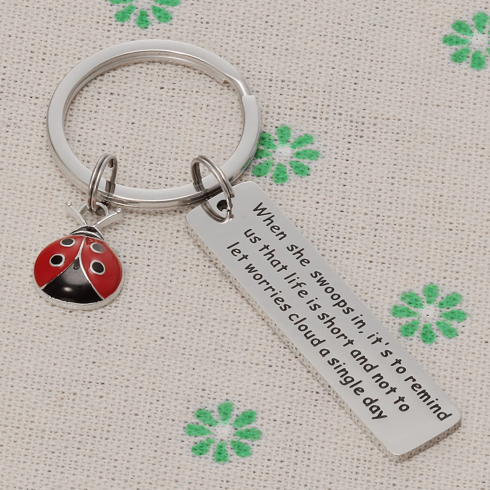 AHAETH Ladybug Keychain Gifts for Women When She Swoops in It Remind Us Not Be Let Worries Cloud A Single Day Keychain Good Luck Inspirational Jewelry Gift