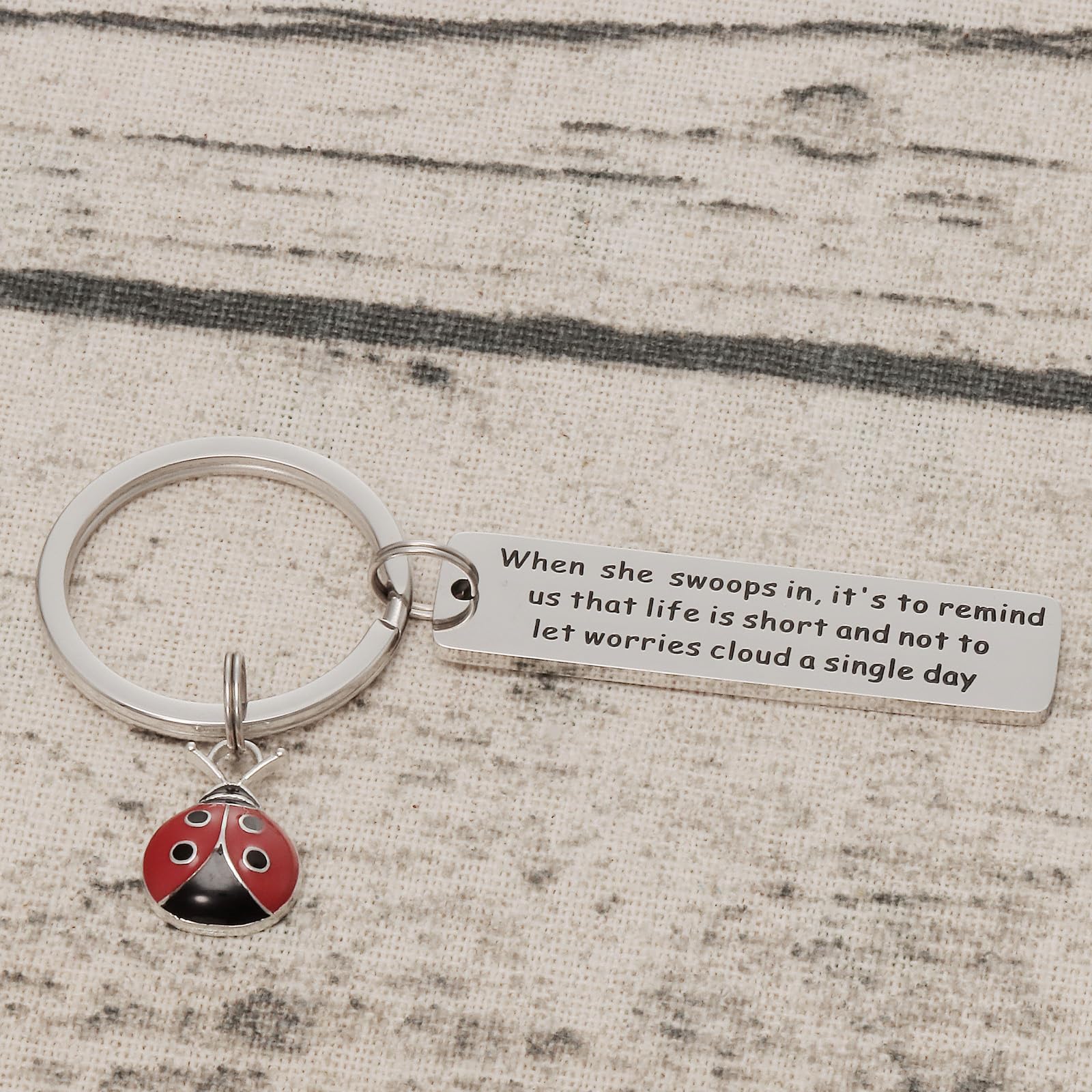 AHAETH Ladybug Keychain Gifts for Women When She Swoops in It Remind Us Not Be Let Worries Cloud A Single Day Keychain Good Luck Inspirational Jewelry Gift