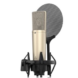 donner dc-87 xlr condenser microphone, 25.4mm large diaphragm studio microphone, 3 polar patterns recording mic for streaming, podcasting, broadcast, vocals, instrument, classic design