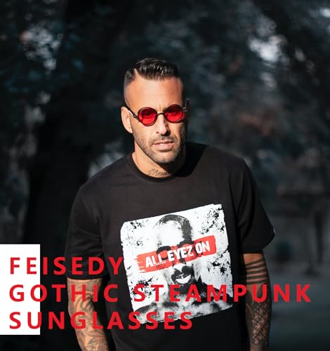 FEISEDY Retro Gothic Steampunk Sunglasses Round Metal Frame Punk Circle Inspired Shade Men B1857