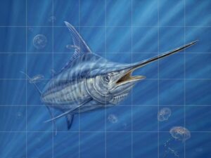 ceramic backsplash tile mural fishing saltwater fish underwater ocean sea kitchen/bathroom/shower - out of the blue - don ray