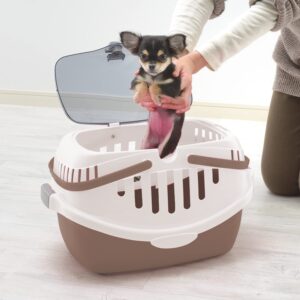 Richell Small Animal Carrier, Travel Carrier for Small Animal, Dog and cat