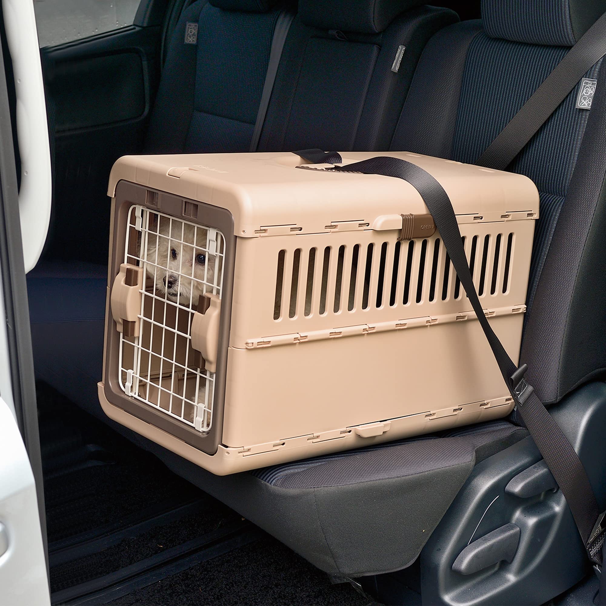 Richell Foldable Pet Carrier Small, Travel Carrier and Crate for Dog & cat up to 17.6 lbs.