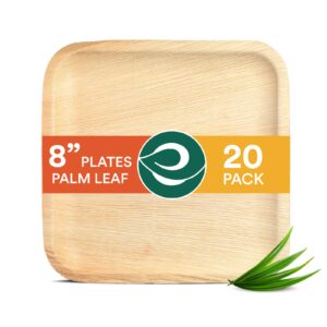 eco soul compostable 8 inch palm leaf square plates (20 count) like bamboo plates | biodegradable | eco-friendly, microwave & oven safe