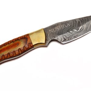 NUSHBA 014 handmade Damascus Steel Hunting Skinner knife with Cow Brown Leather Sheath Fixed blade knives for men