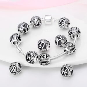 TINSLO Zodiac Sign Bead Birthday Charms 925 Sterling Silver Birthstone Charms Fits Women's Charm Bracelet & Necklace Bangle Gifts