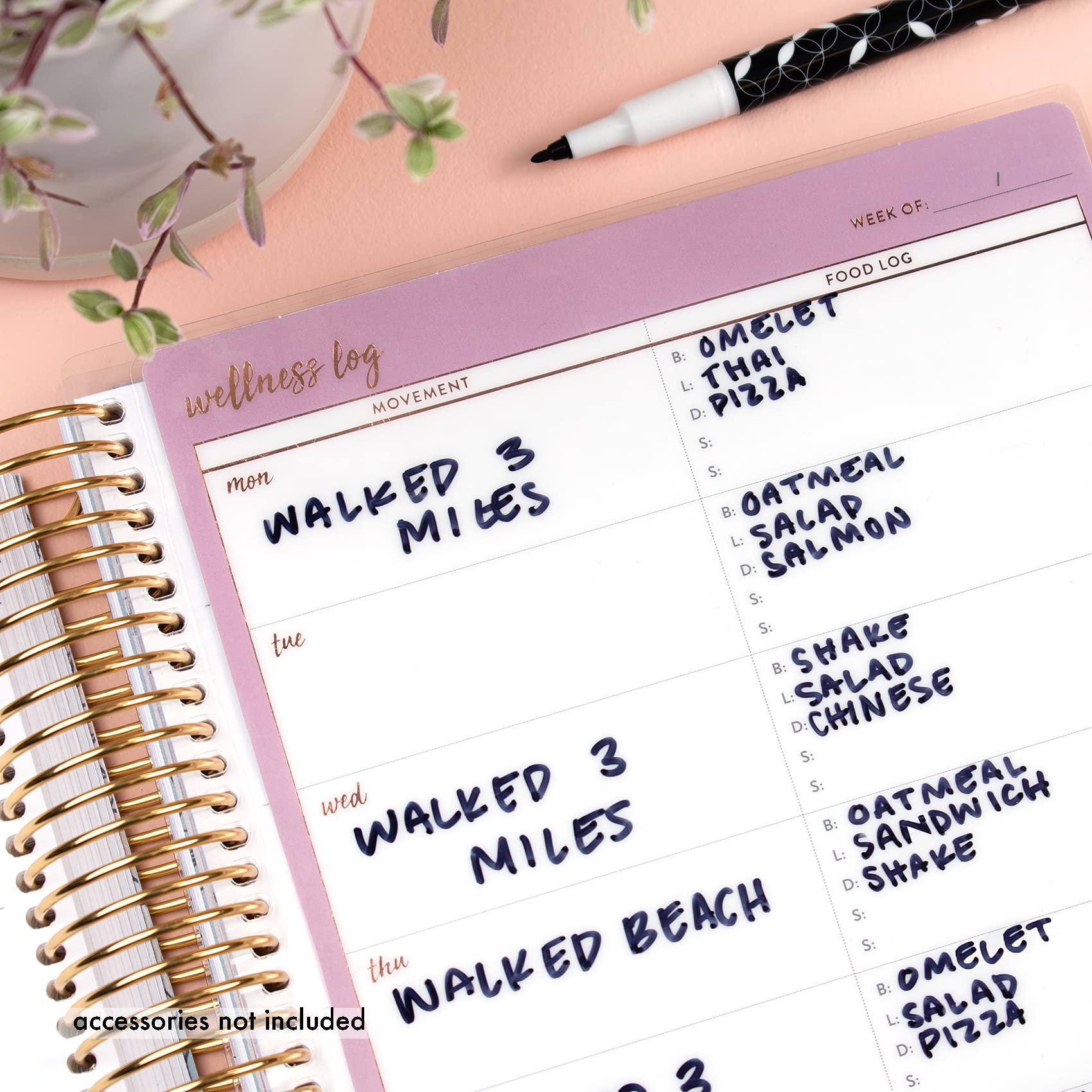 Snap-in Dashboard - Wellness. Track Food, Water, Activities and More. Wet-Erase and Double-Sided. 7" x 9" or Larger Notebook Snap-in Accessory by Erin Condren.