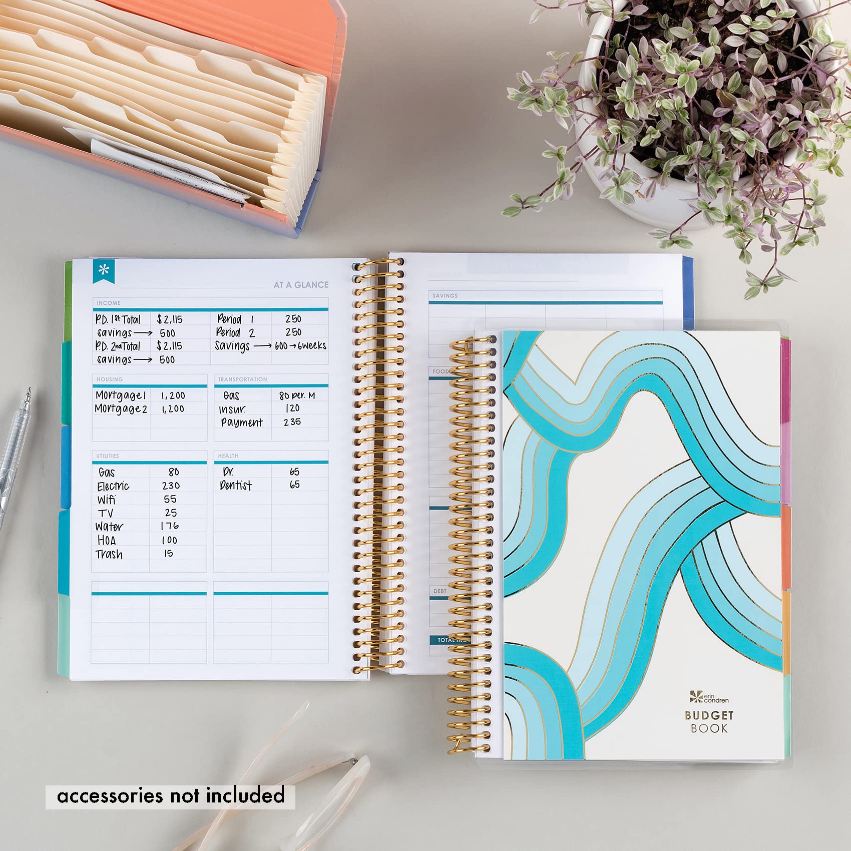 A5 Spiral - Bound Budget Planner. Savings Tracker, 72 Month-At-A-Glance Pages and 4 Pages of Debt Trackers. 13 Tabs. 160 Pages of Thick 80 Lb. Mohawk Paper. Sticker Sheet Included by Erin Condren.