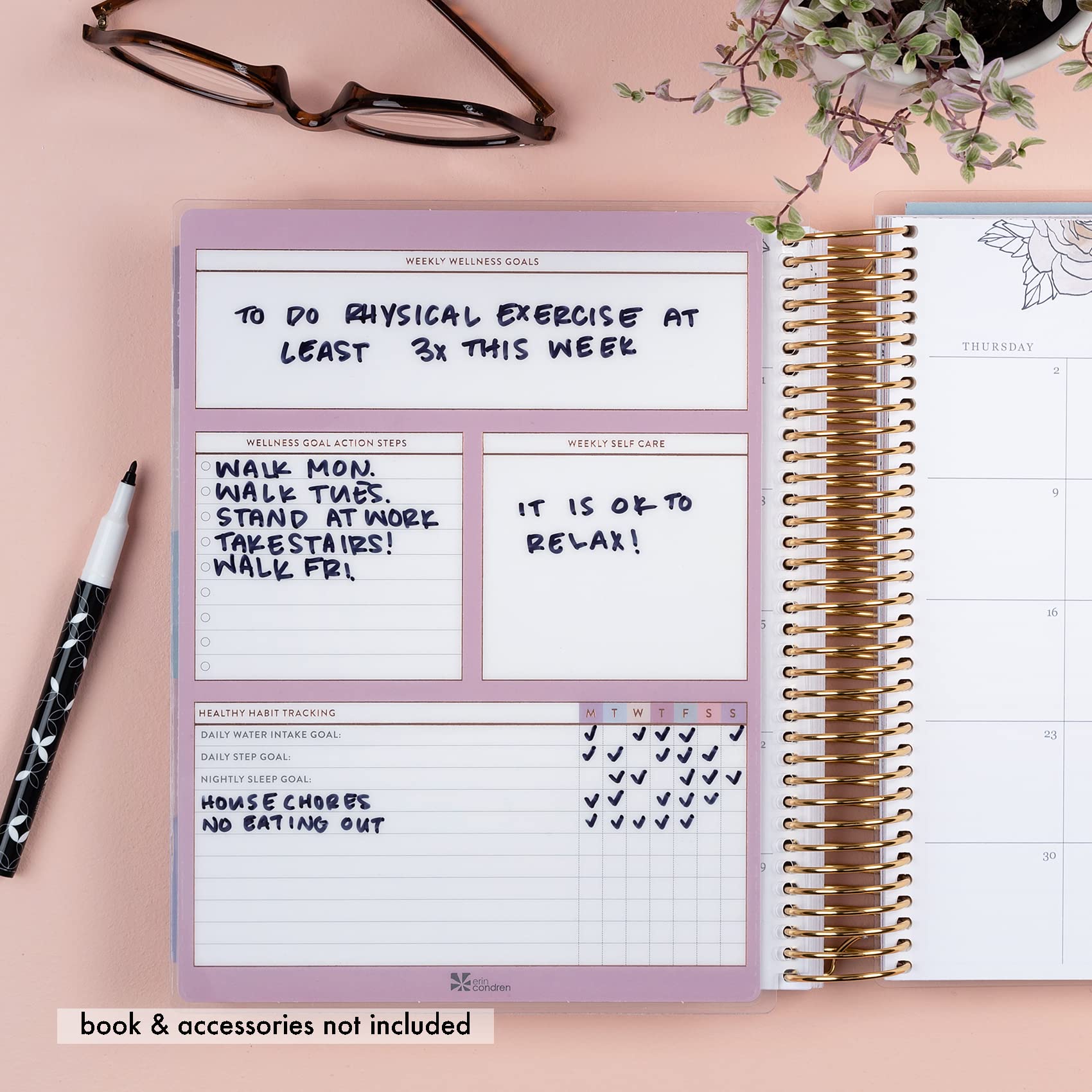 Snap-in Dashboard - Wellness. Track Food, Water, Activities and More. Wet-Erase and Double-Sided. 7" x 9" or Larger Notebook Snap-in Accessory by Erin Condren.