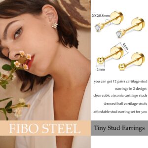 FIBO STEEL 12 Pairs 20G Cartilage Earrings Stud for Women Men Stainless Steel Tiny 2mm & 3-8mm Studs CZ Round Ball Flatback Earring Set (2mm, Gold-tone)