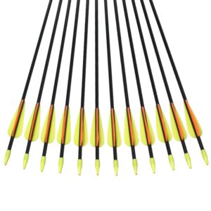 Practice Fiberglass Arrows Archery 28 Inch Target Shooting Safetyglass Recurve Bows Suitable for Youth Children Woman Beginner 6PCS Pack