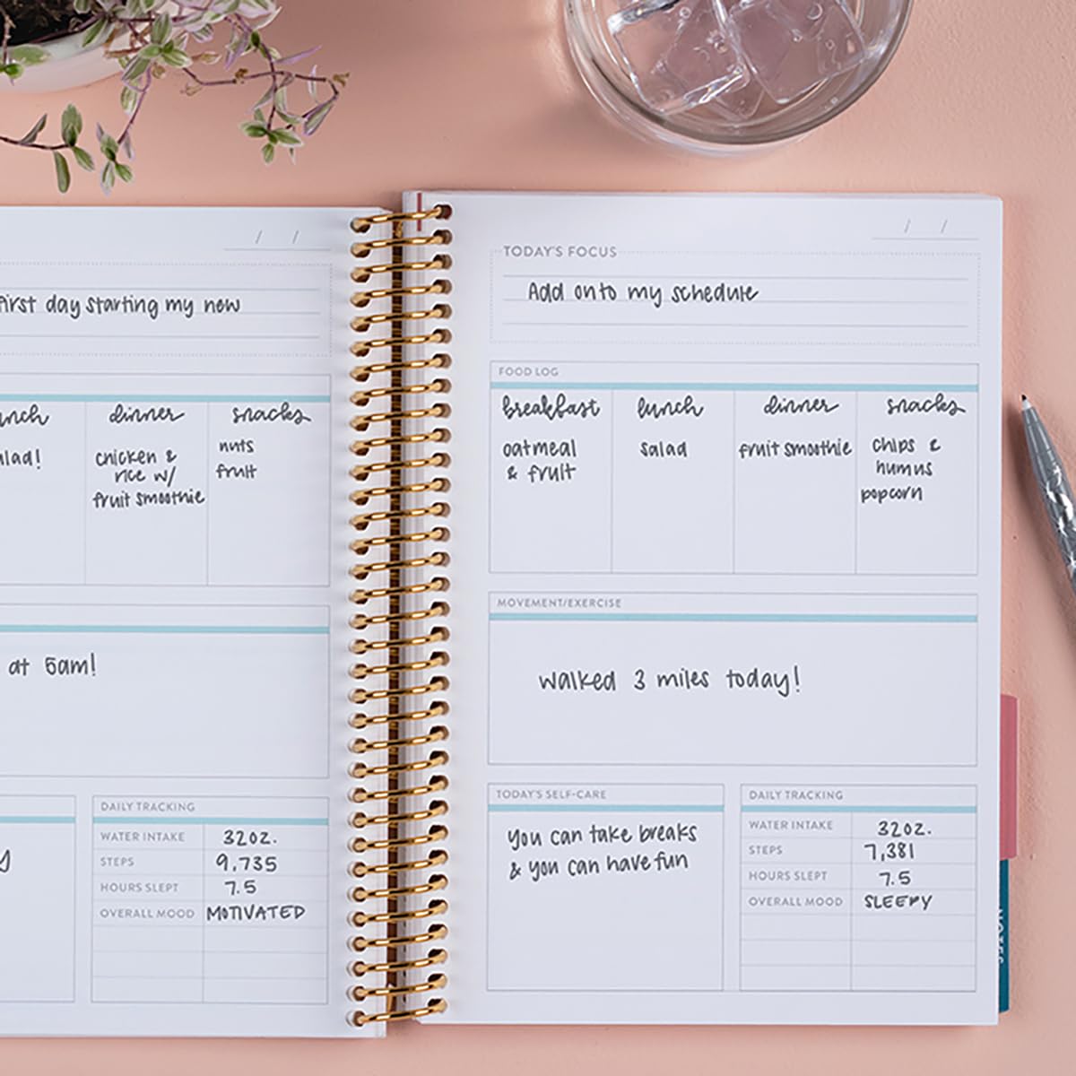 A5 Spiral - Bound Wellness Planner. 3 Months of Planning Pages. Daily Food, Movement, and Self-Care Trackers. Reflection and Celebration Pages. 6 Tabs. Sticker Sheet Included by Erin Condren.