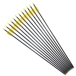 practice fiberglass arrows archery 28 inch target shooting safetyglass recurve bows suitable for youth children woman beginner 6pcs pack